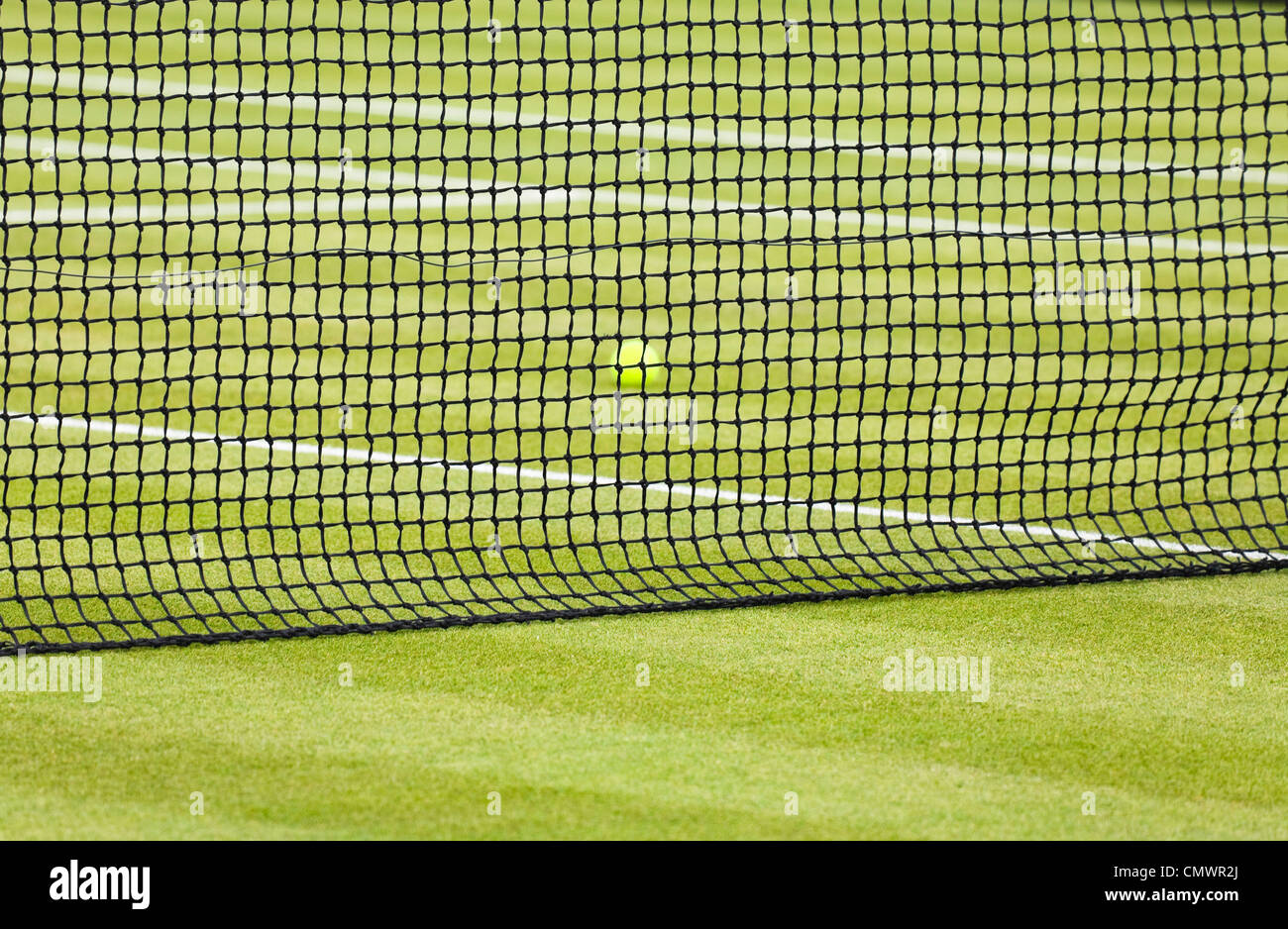 Detail of a tennis ball behind a net on a grass court Stock Photo - Alamy