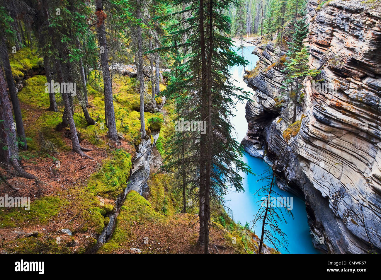 Athabasca falls river jasper hi-res stock photography and images - Alamy