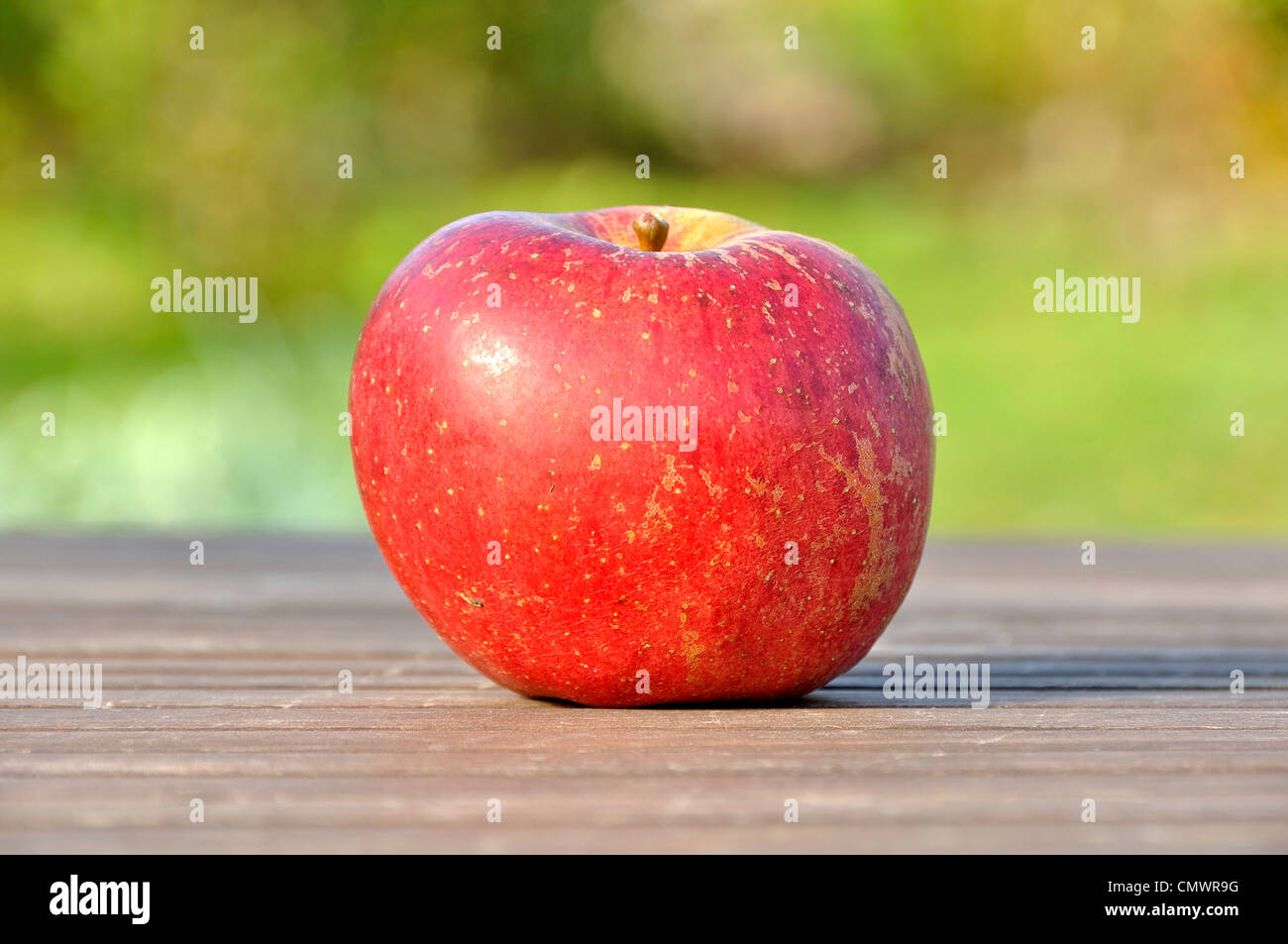 Apple "Melrose" (Malus domestica) on the garden table Stock Photo - Alamy