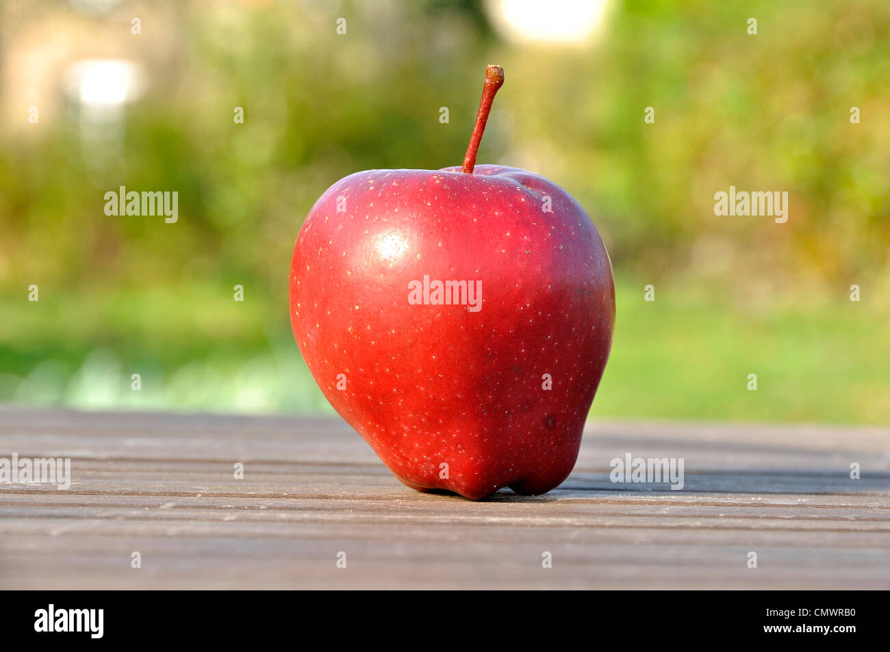 Starkinson hi-res stock photography and images - Alamy