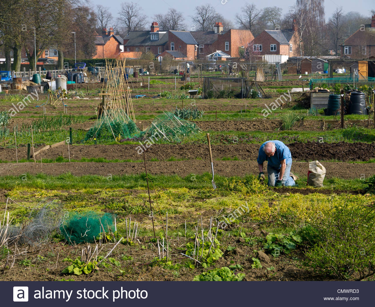 English Garden Allotment Stock Photos & English Garden Allotment Stock ...