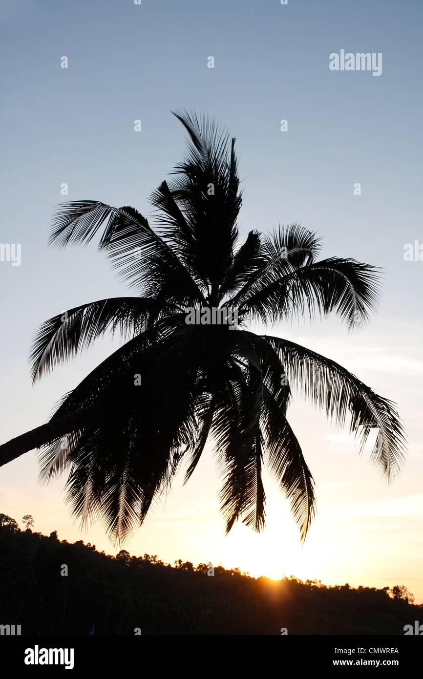 Sunset exotic hi-res stock photography and images - Alamy