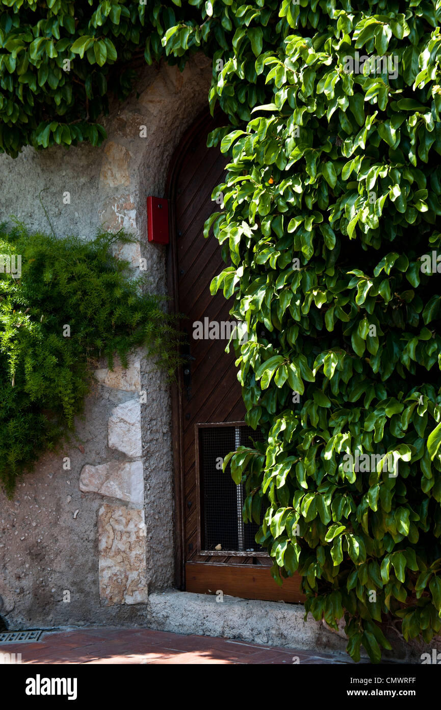 Foliage covering a door Stock Photo - Alamy