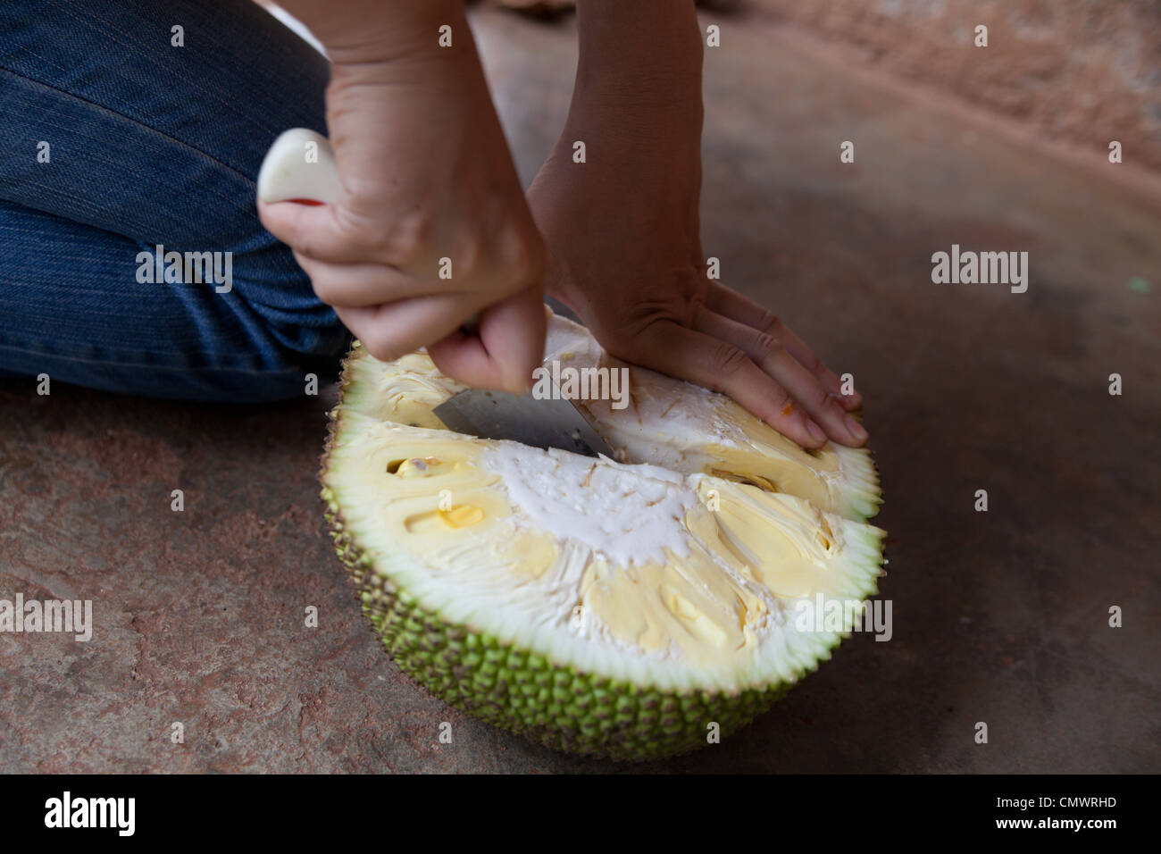 Cutting a Jackfruit Stock Photo - Alamy