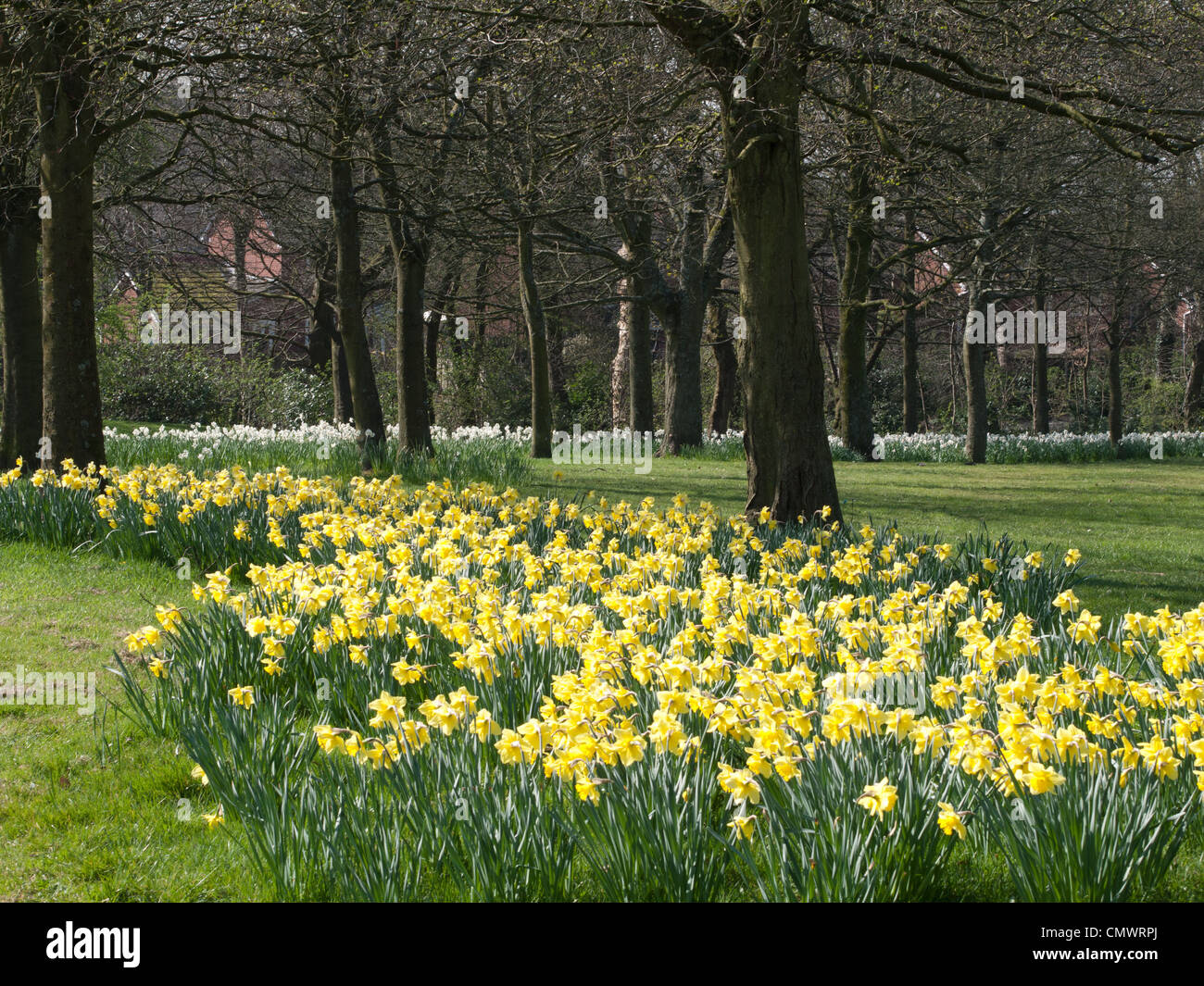 Werneth park oldham lancashire hi-res stock photography and images - Alamy
