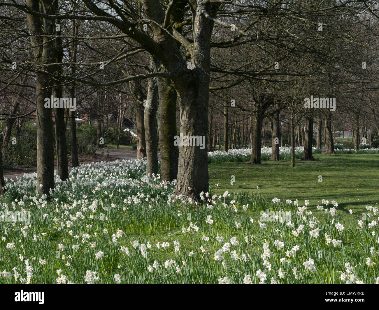 Werneth park oldham lancashire hi-res stock photography and images - Alamy