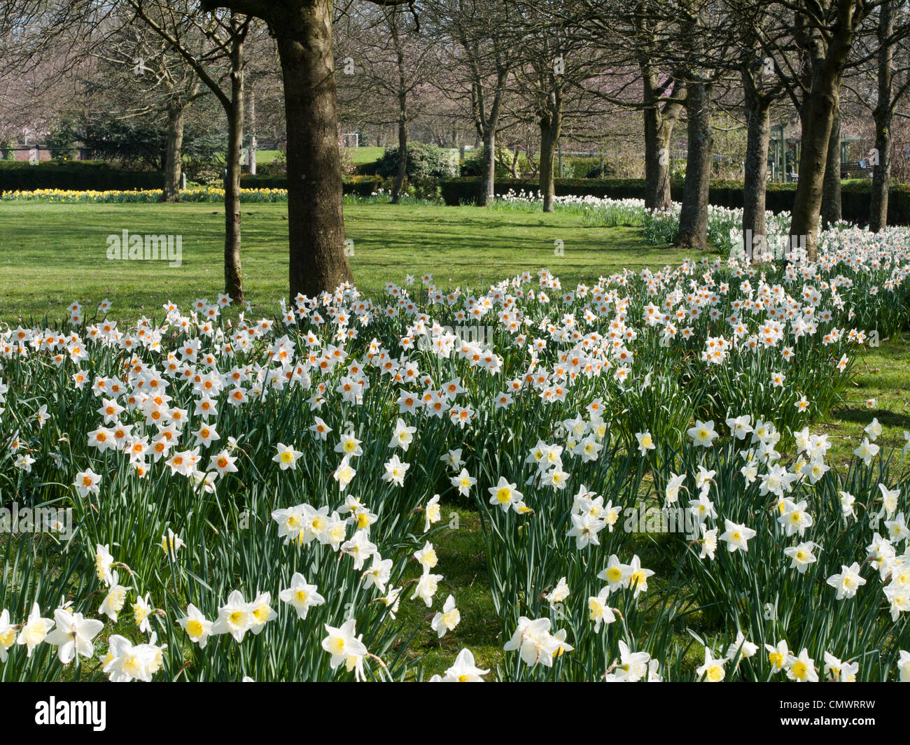 Spring in Werneth Park, Oldham, UK Stock Photo - Alamy