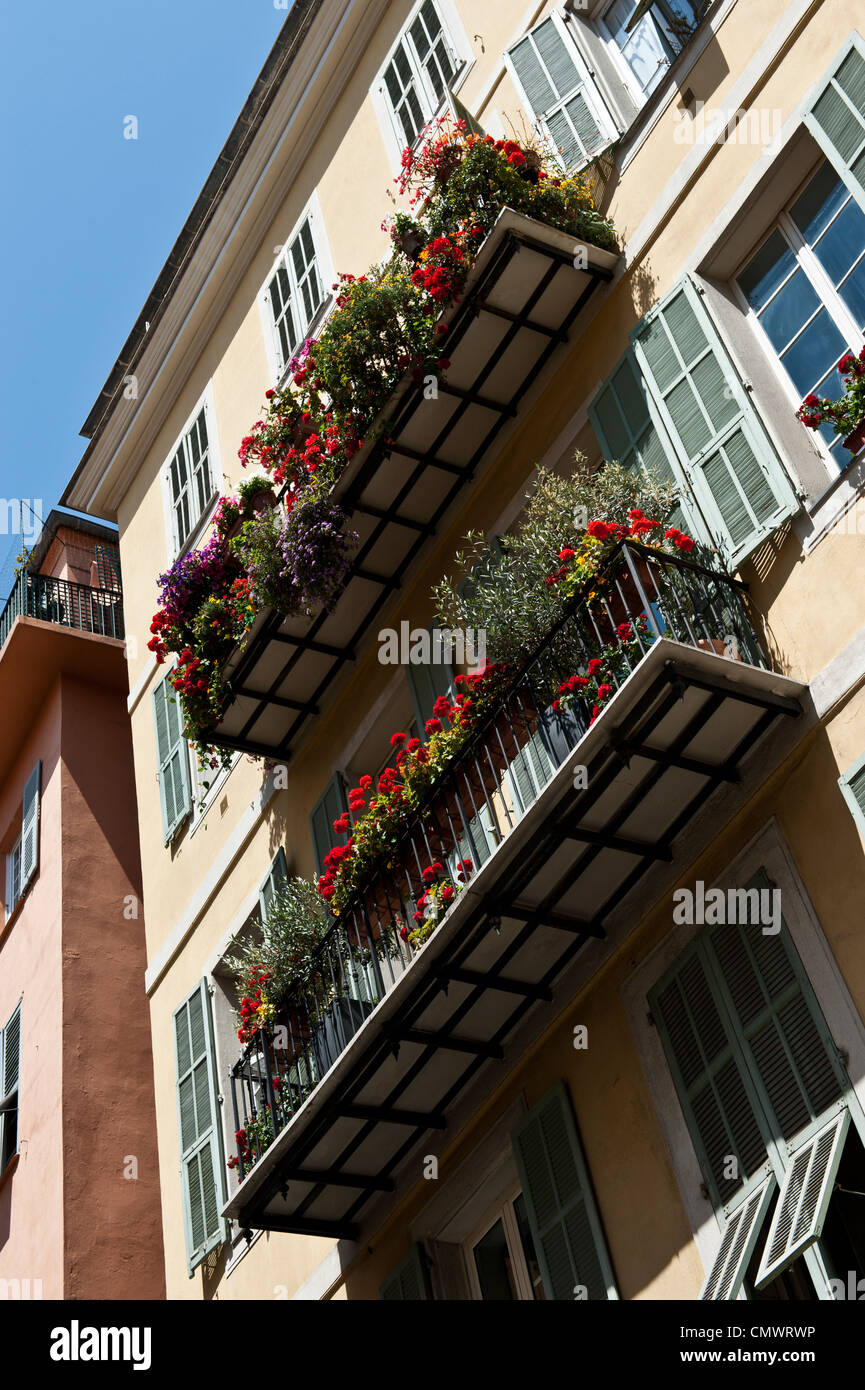 Plants growing outside building architecture hi-res stock photography ...