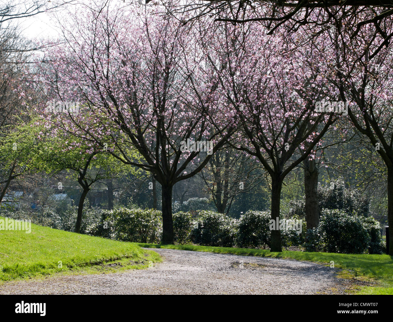 Werneth park oldham lancashire hi-res stock photography and images - Alamy