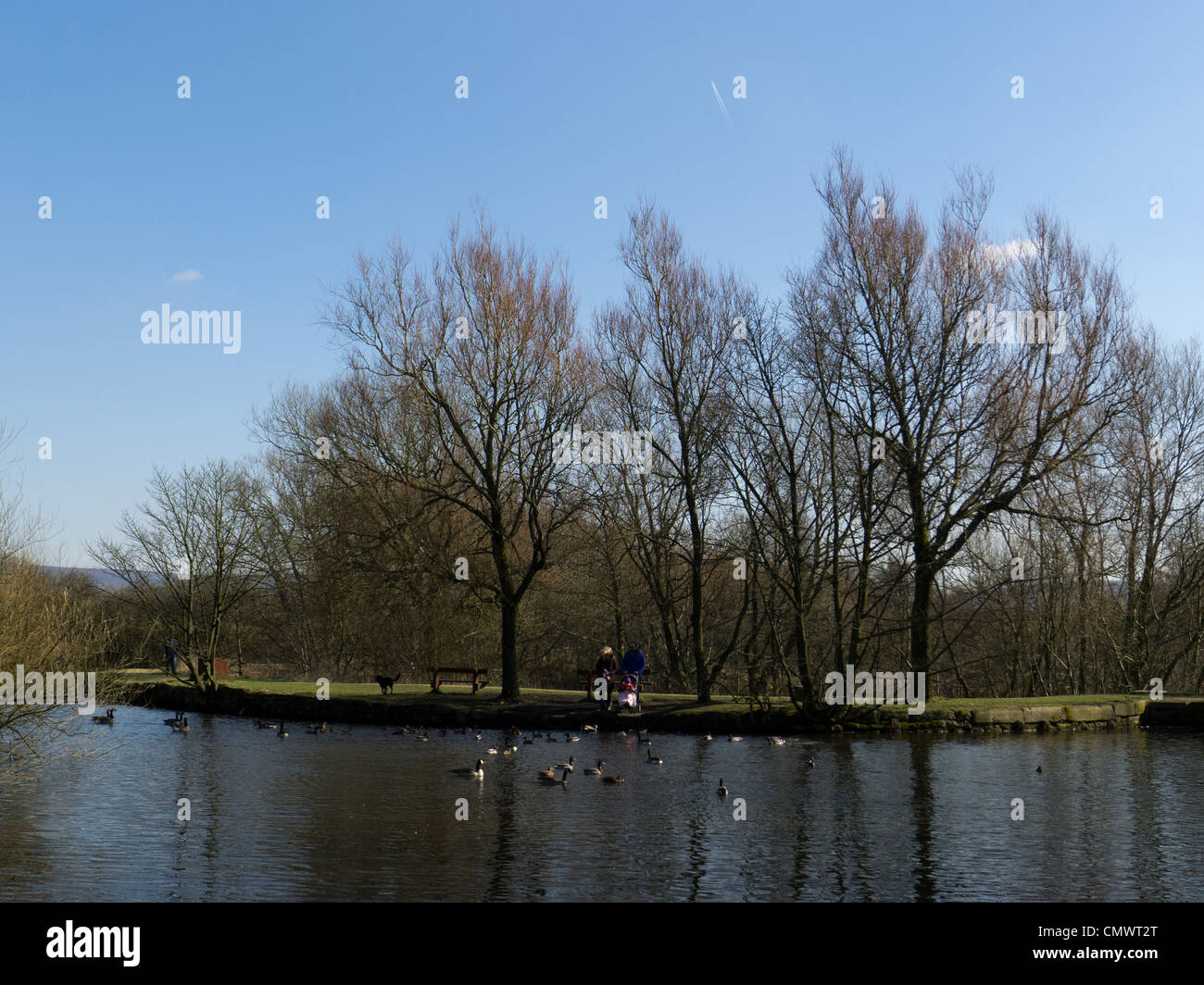 Daisy nook hi-res stock photography and images - Alamy