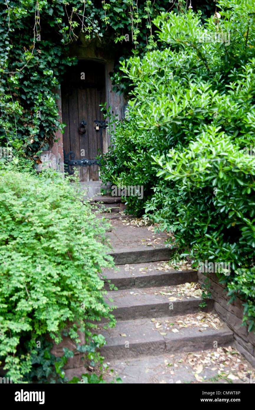 A little door entrance up a secret walkway surrounding by trees Stock ...