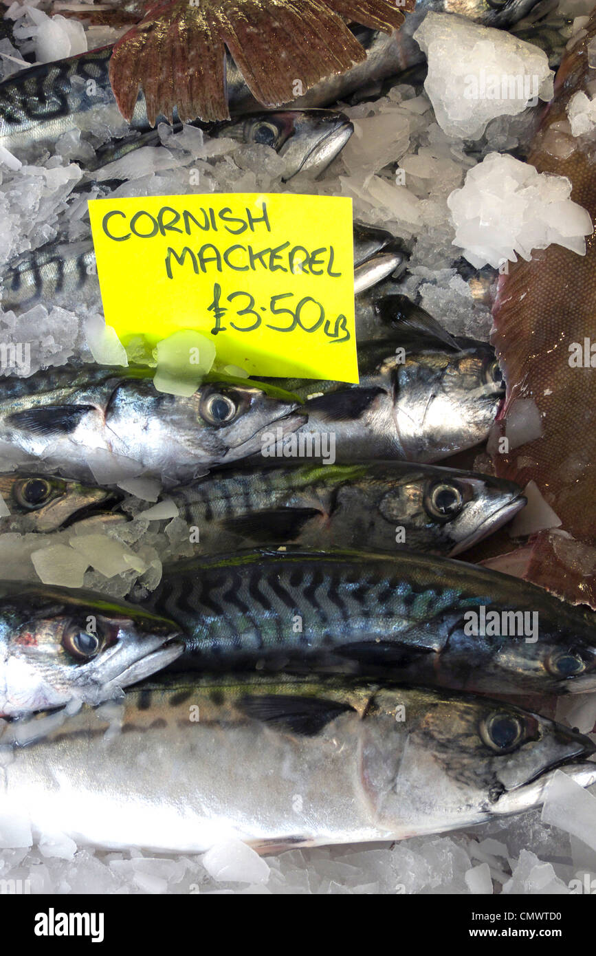 united kingdom west sussex littlehampton riverside fish shop a wet fish ...