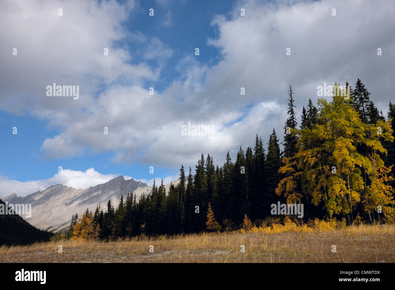 Queen elizabeth range hi-res stock photography and images - Alamy