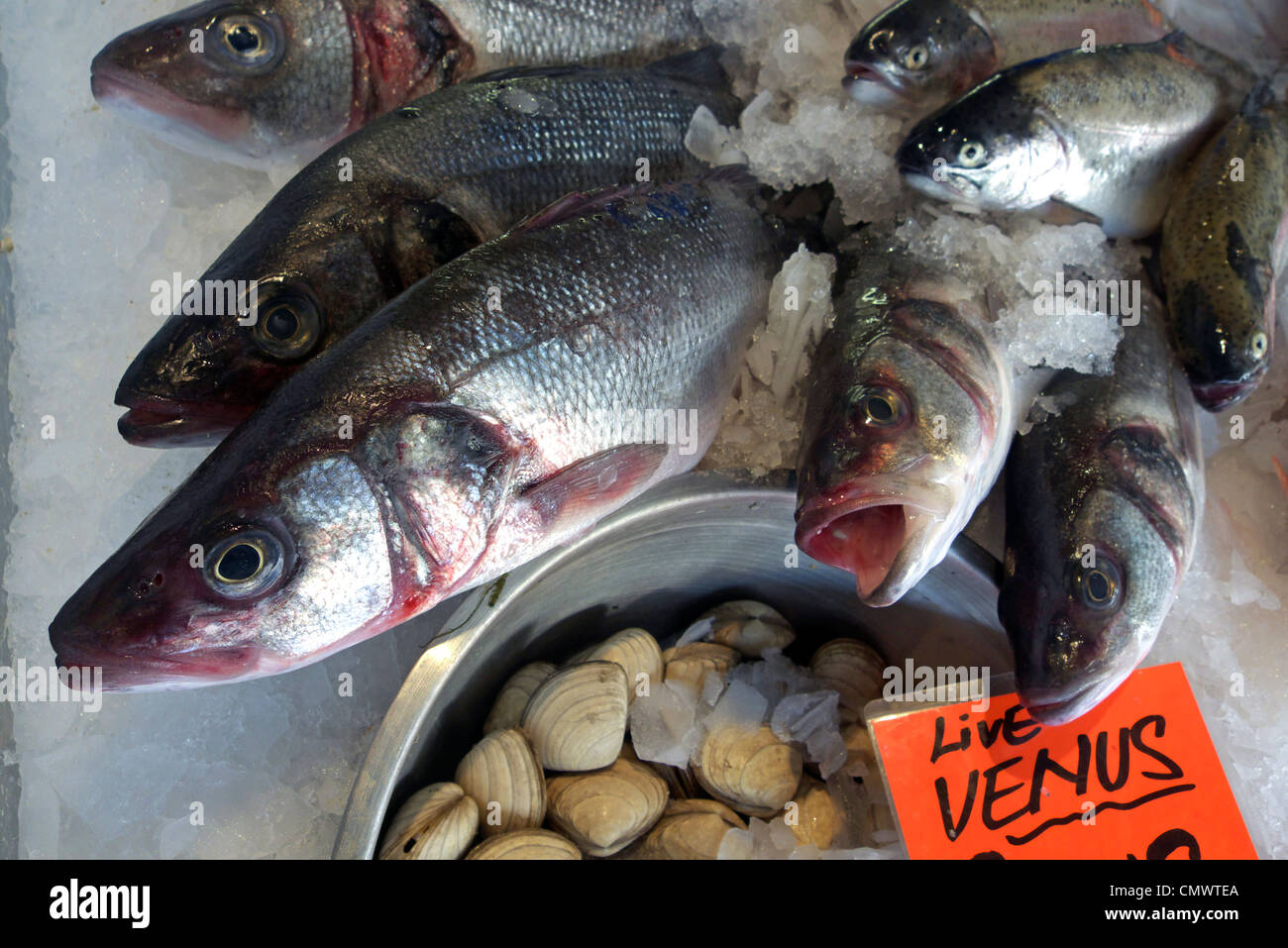 united kingdom west sussex littlehampton riverside fish shop a wet fish ...