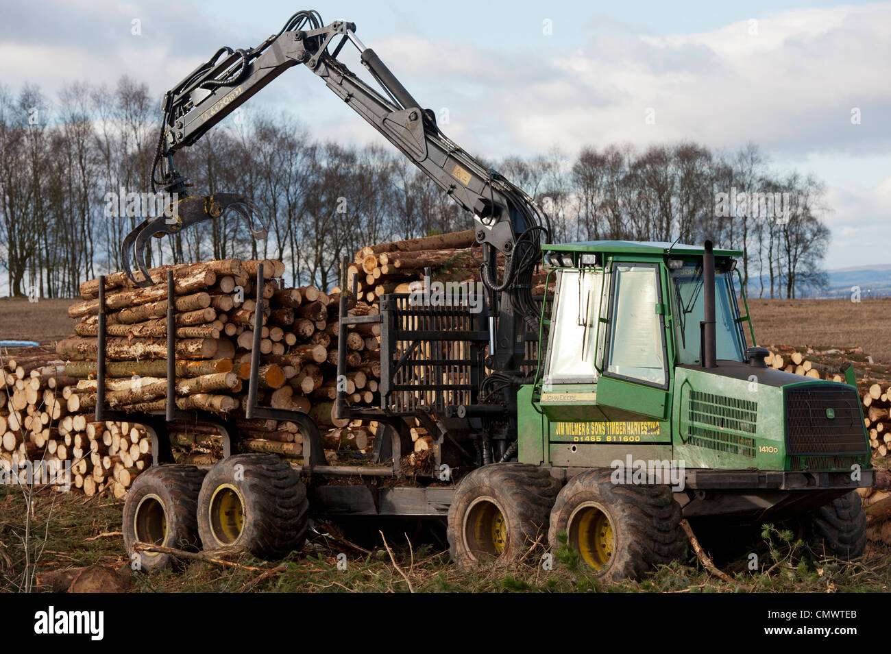 Felled Timber Tree Plantation High Resolution Stock Photography and ...
