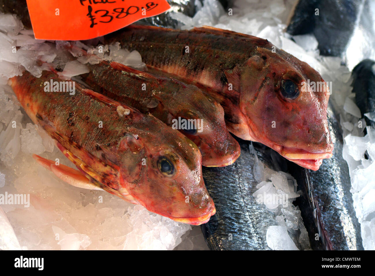 Display Of Wet Fish Stock Photos & Display Of Wet Fish Stock Images - Alamy