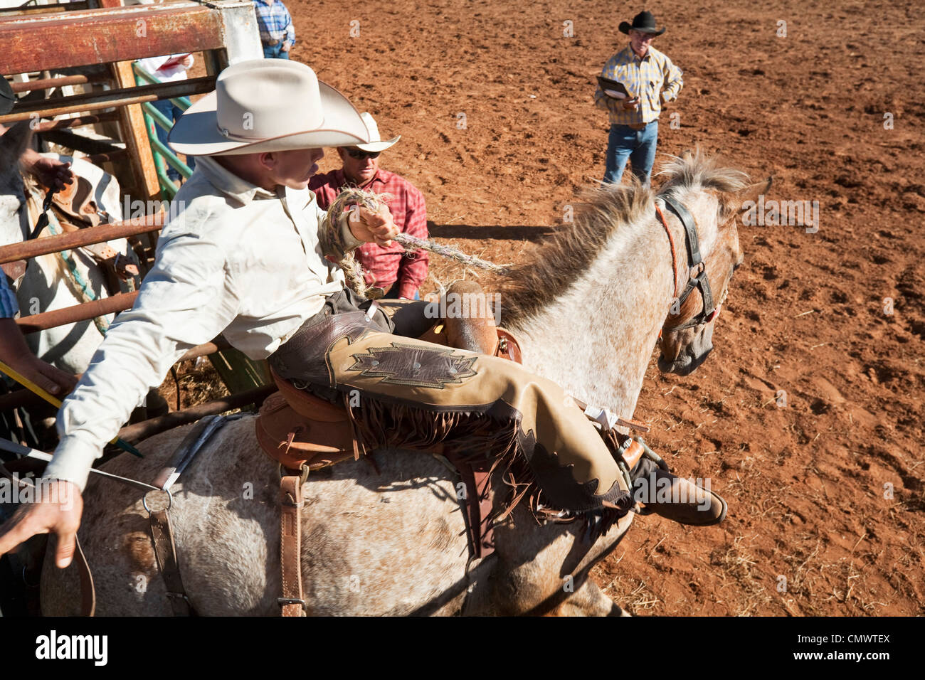 Bareback bronc rider in action at Mt Garnet Rodeo. Mt Garnet ...