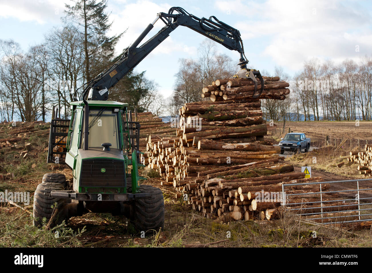 Stacking up felled timber from a pine plantation in Stirlingshire ...