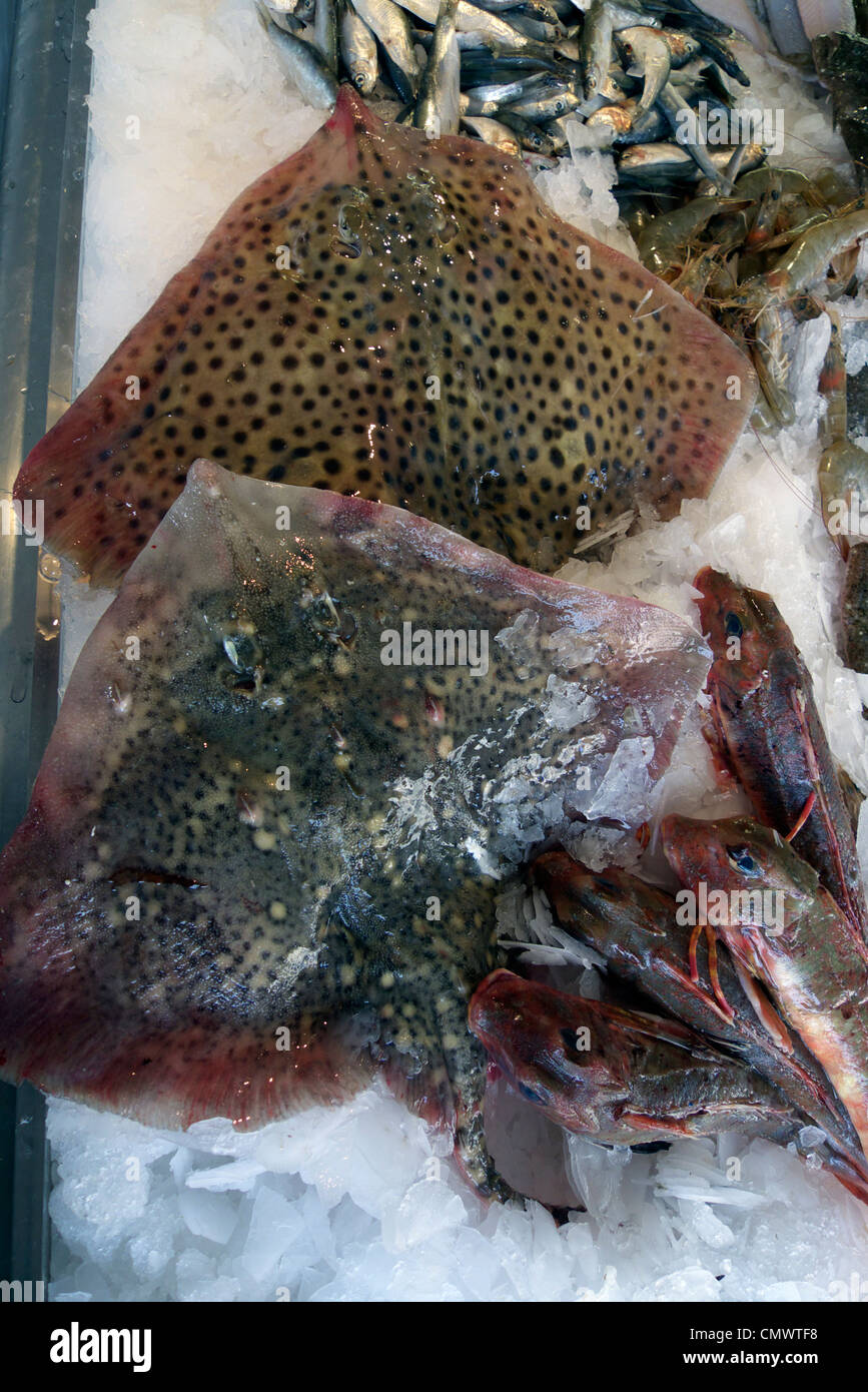 united kingdom west sussex littlehampton riverside fish shop a wet fish ...