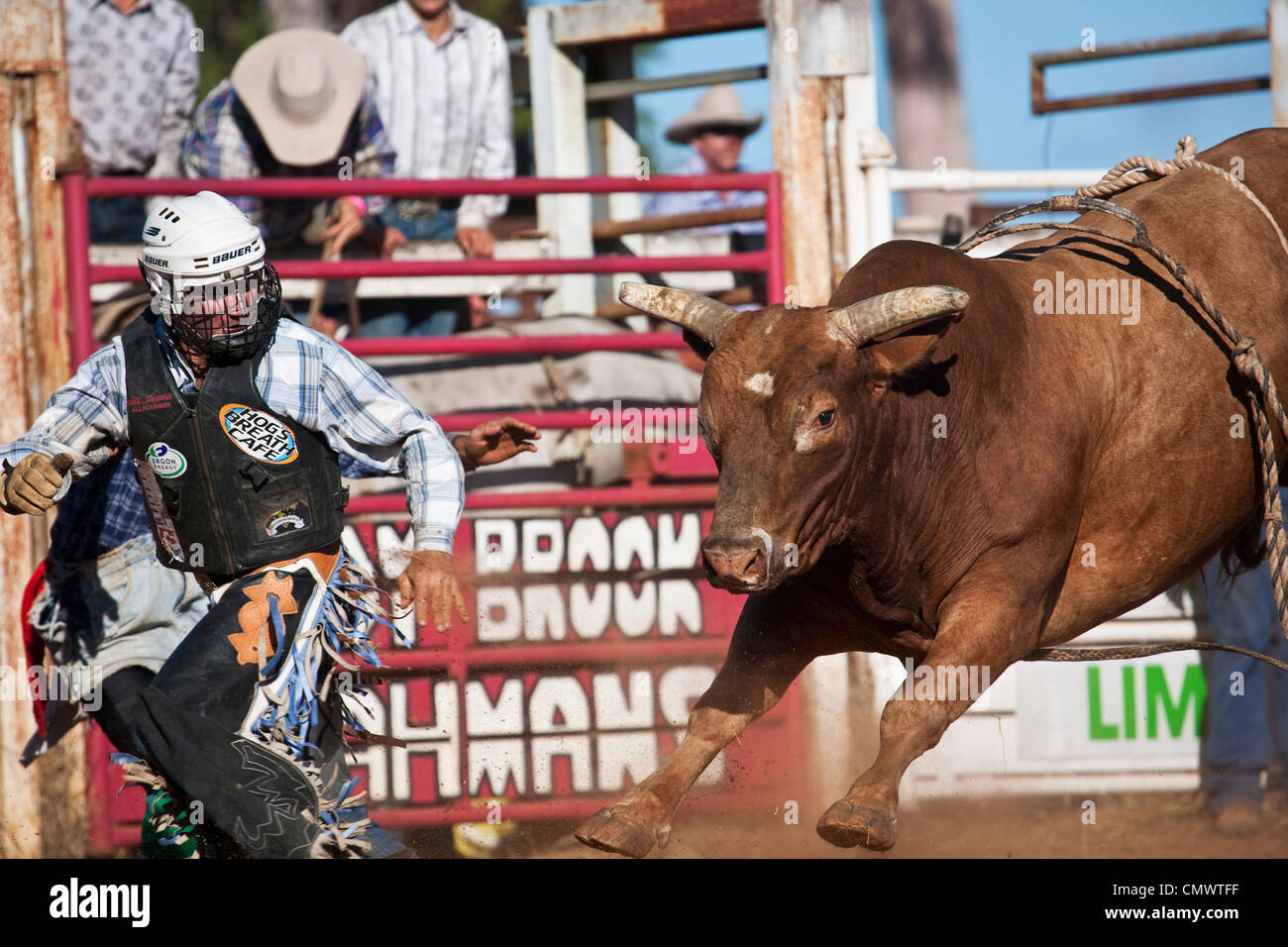 Bull chasing man hi-res stock photography and images - Alamy