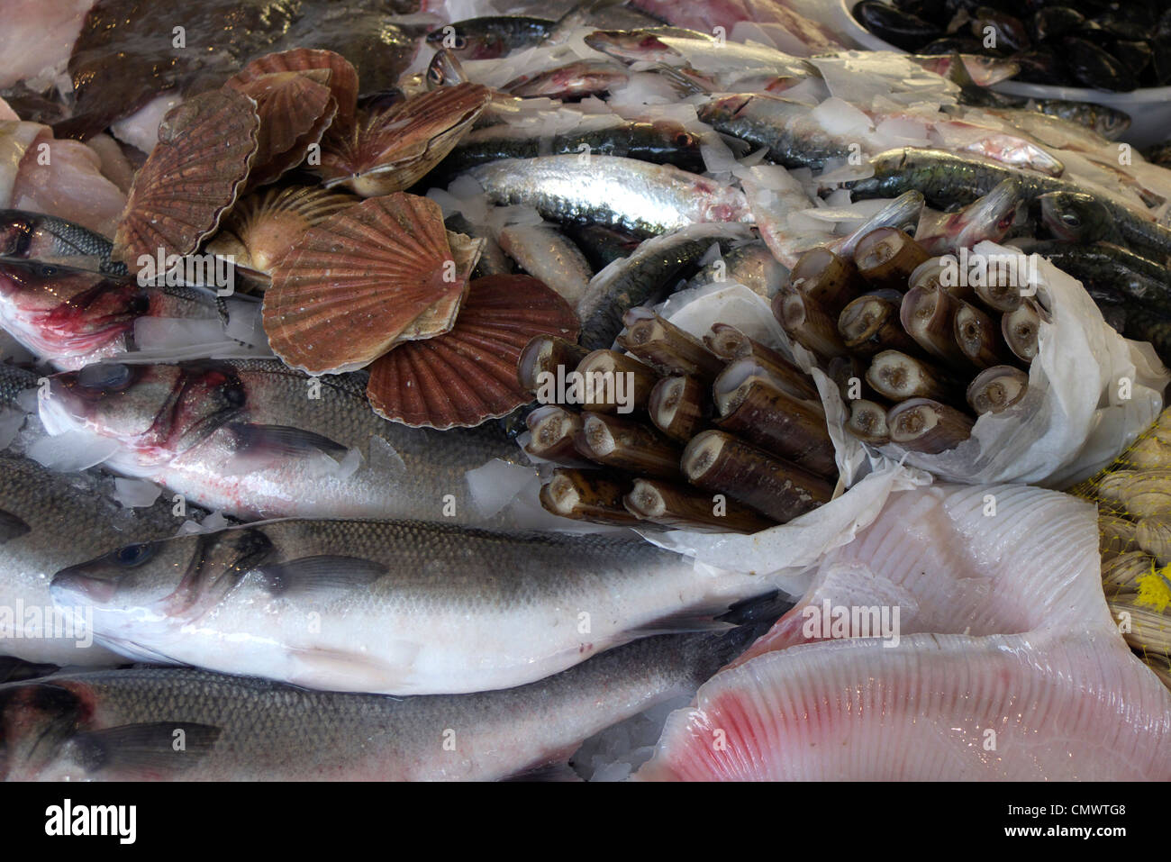 united kingdom west sussex littlehampton riverside fish shop a wet fish ...