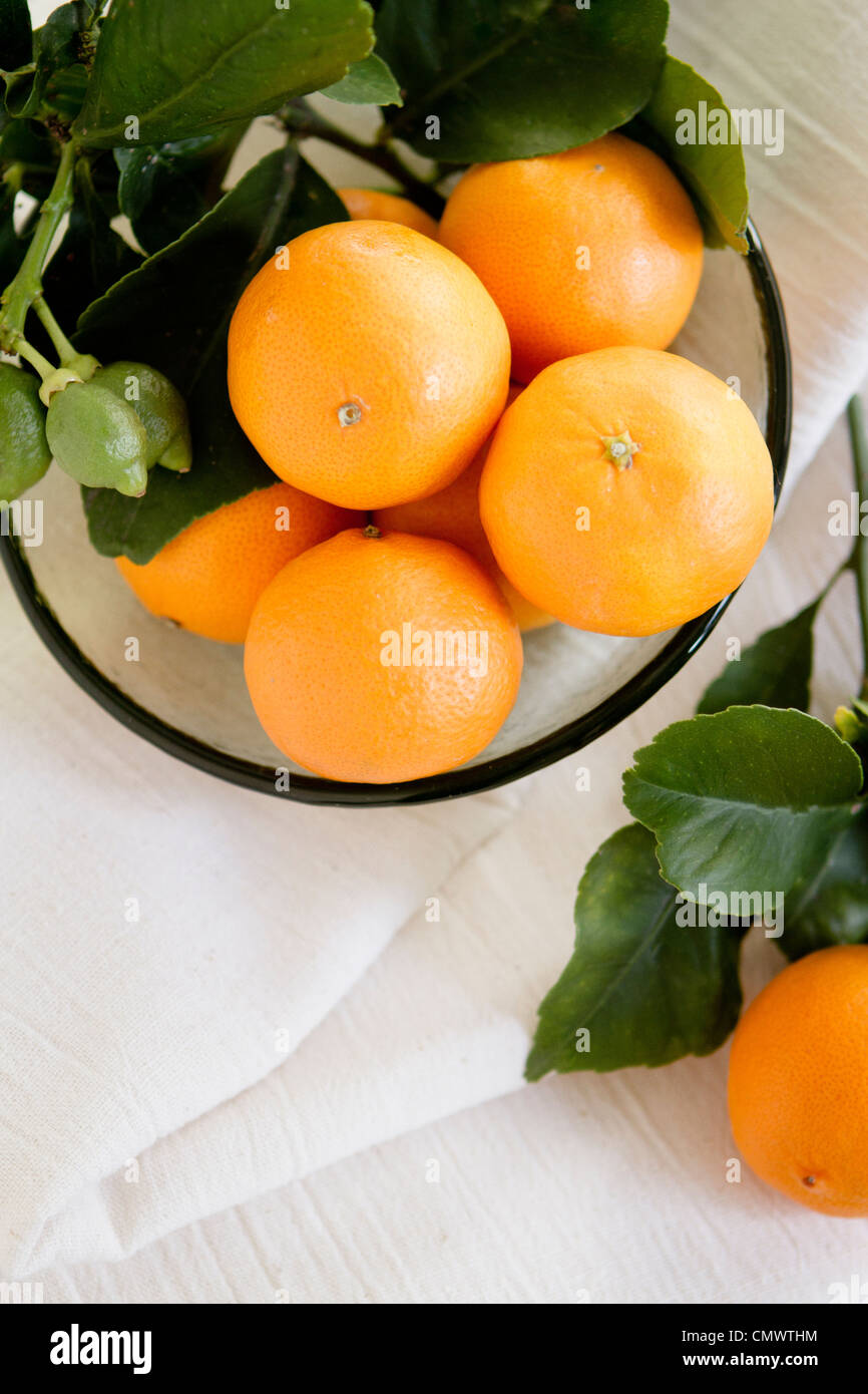 Pixie tangerines from Ojai, California Stock Photo - Alamy