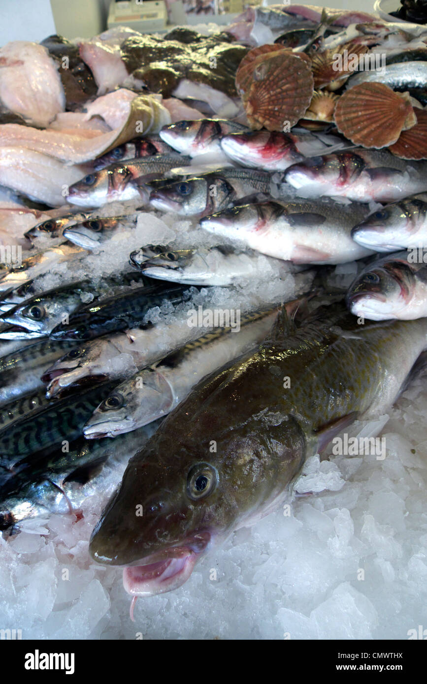 united kingdom west sussex littlehampton riverside fish shop a wet fish ...