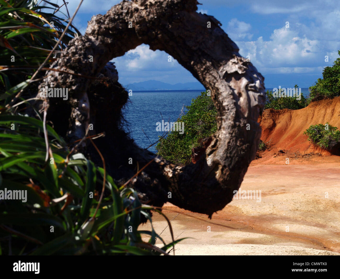 View of Marie Galante through a twisted tree trunk from Red Rocks ...