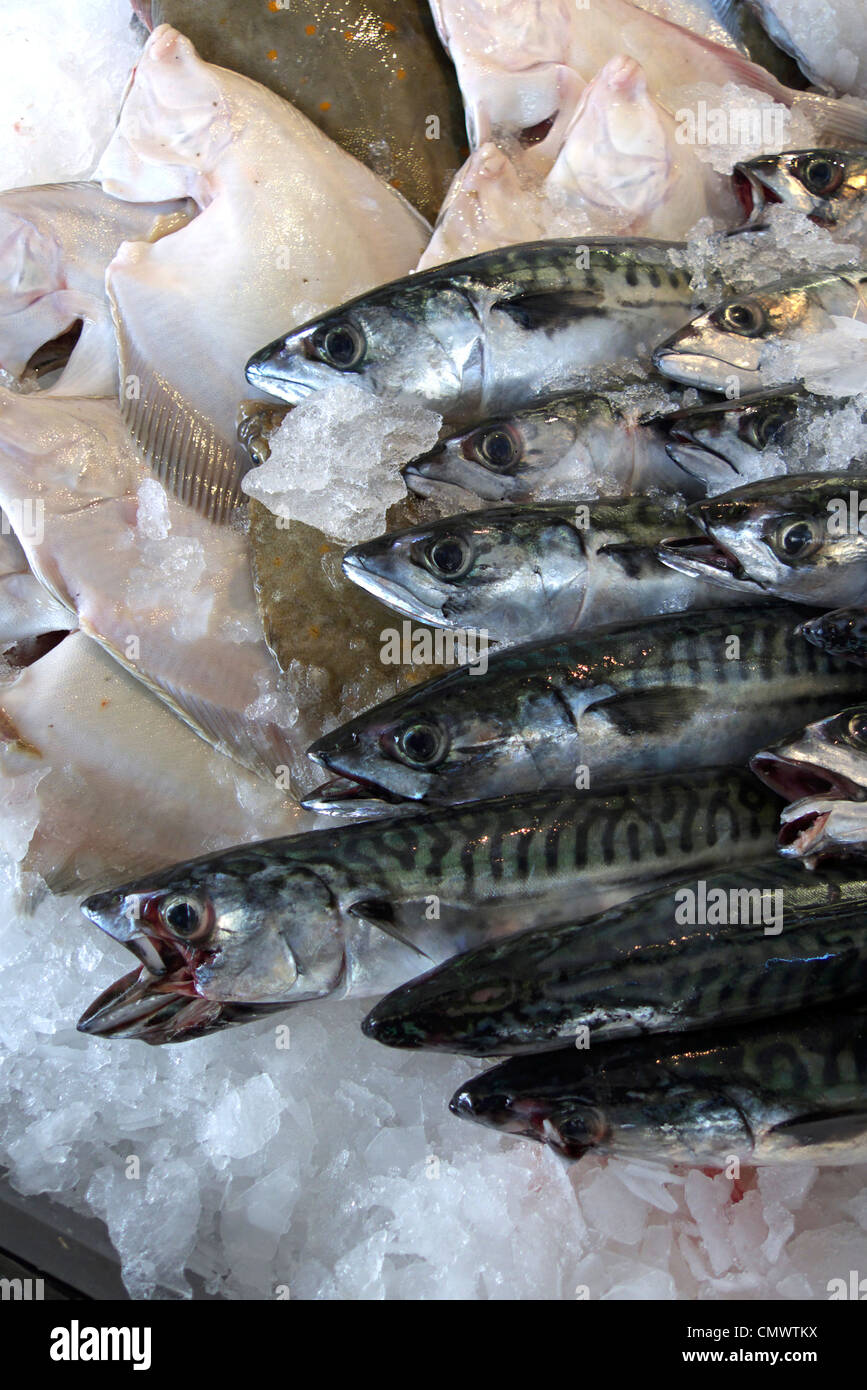 united kingdom west sussex littlehampton riverside fish shop a wet fish ...