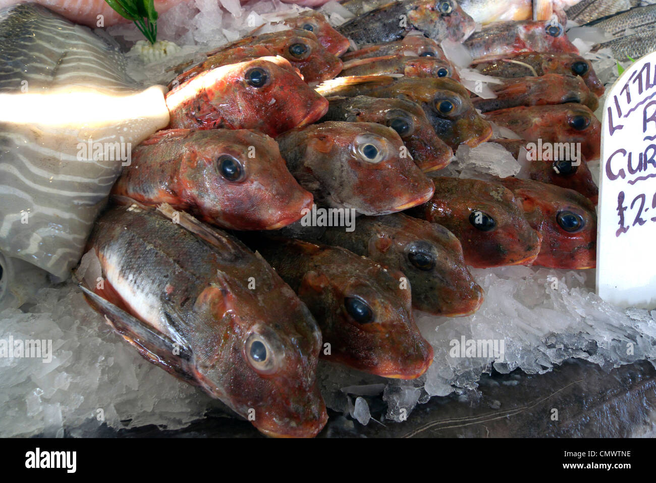 united kingdom west sussex littlehampton riverside fish shop a wet fish ...