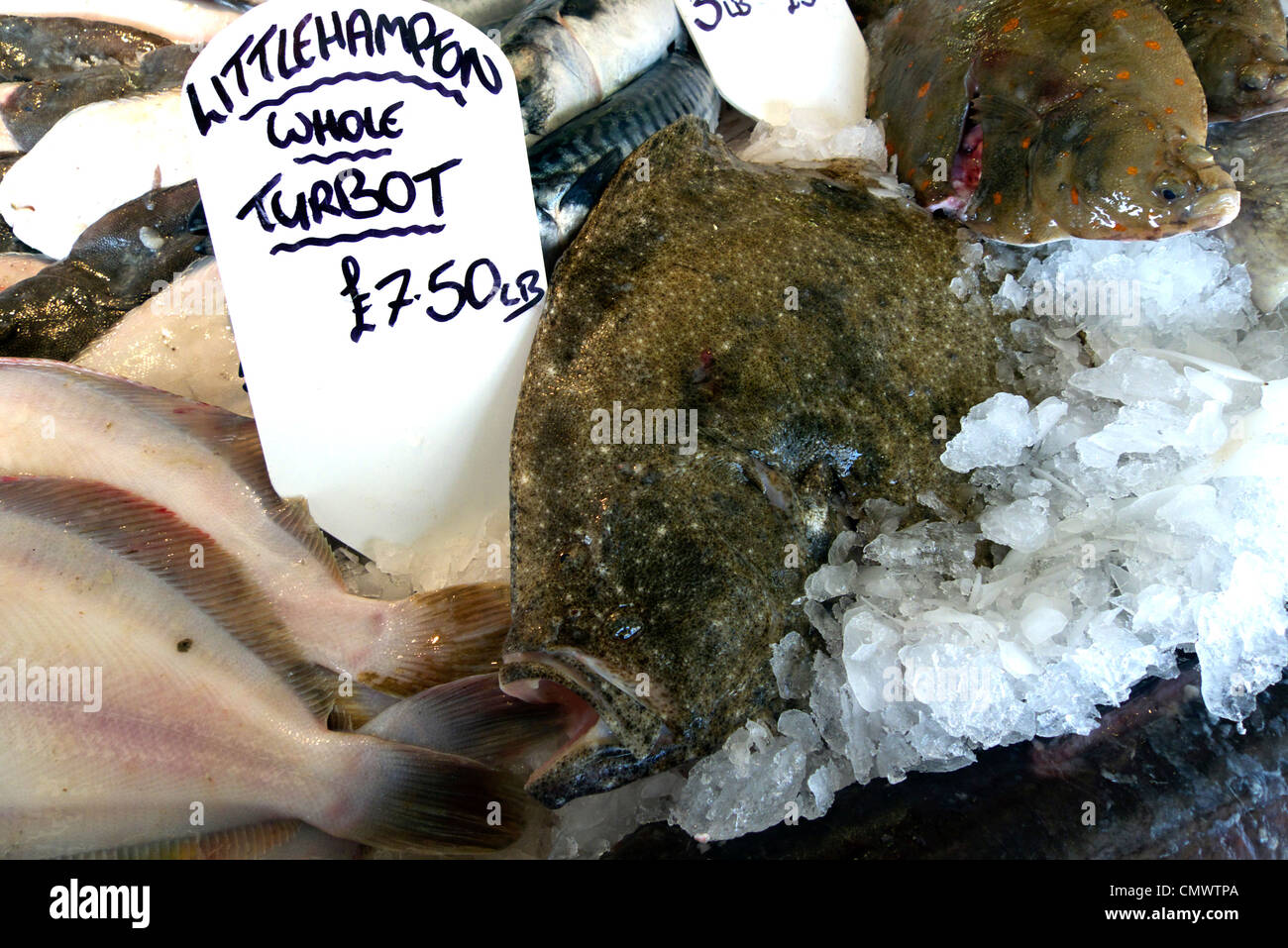 united kingdom west sussex littlehampton riverside fish shop a wet fish ...