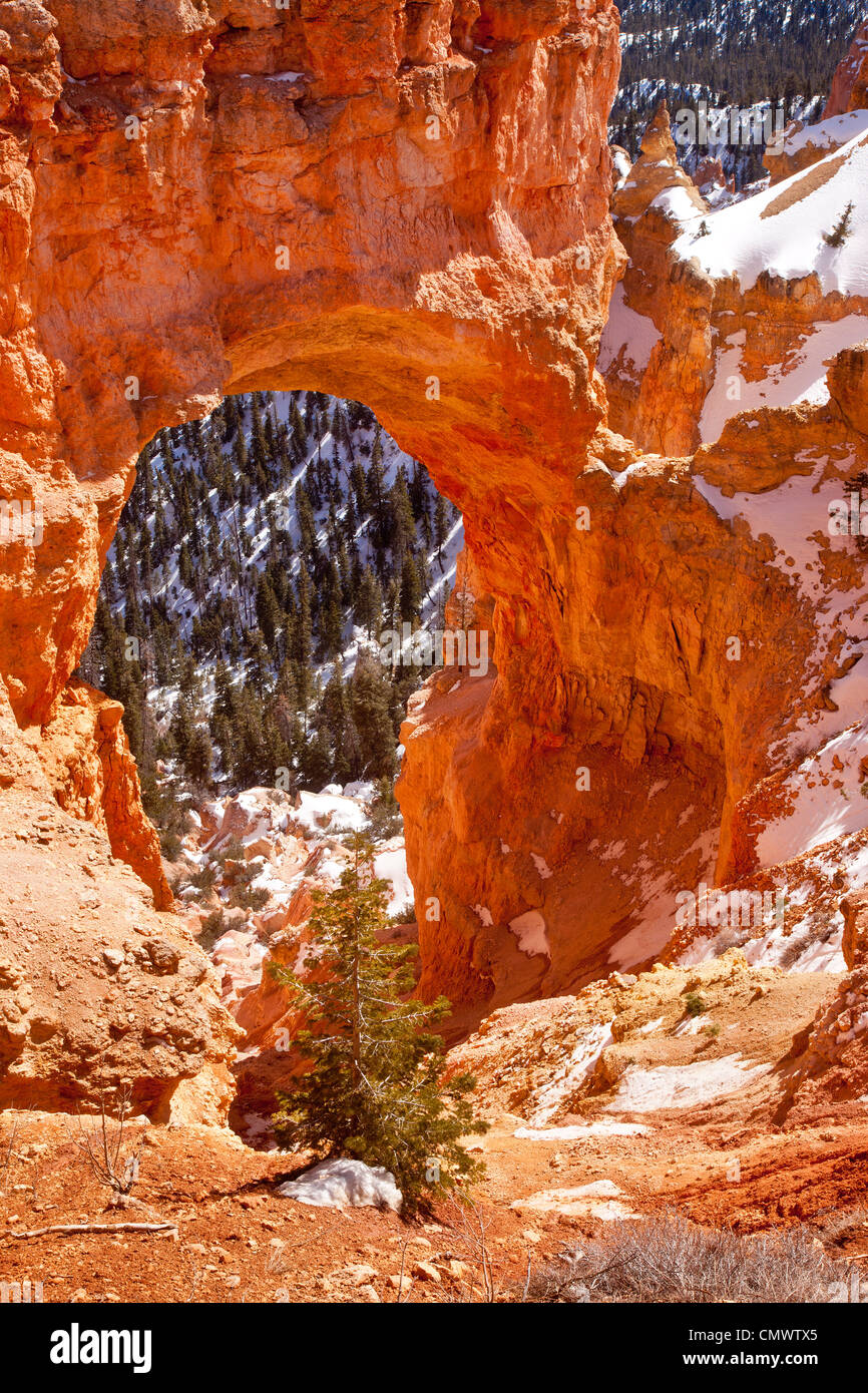 The bridge rock formation hi-res stock photography and images - Alamy