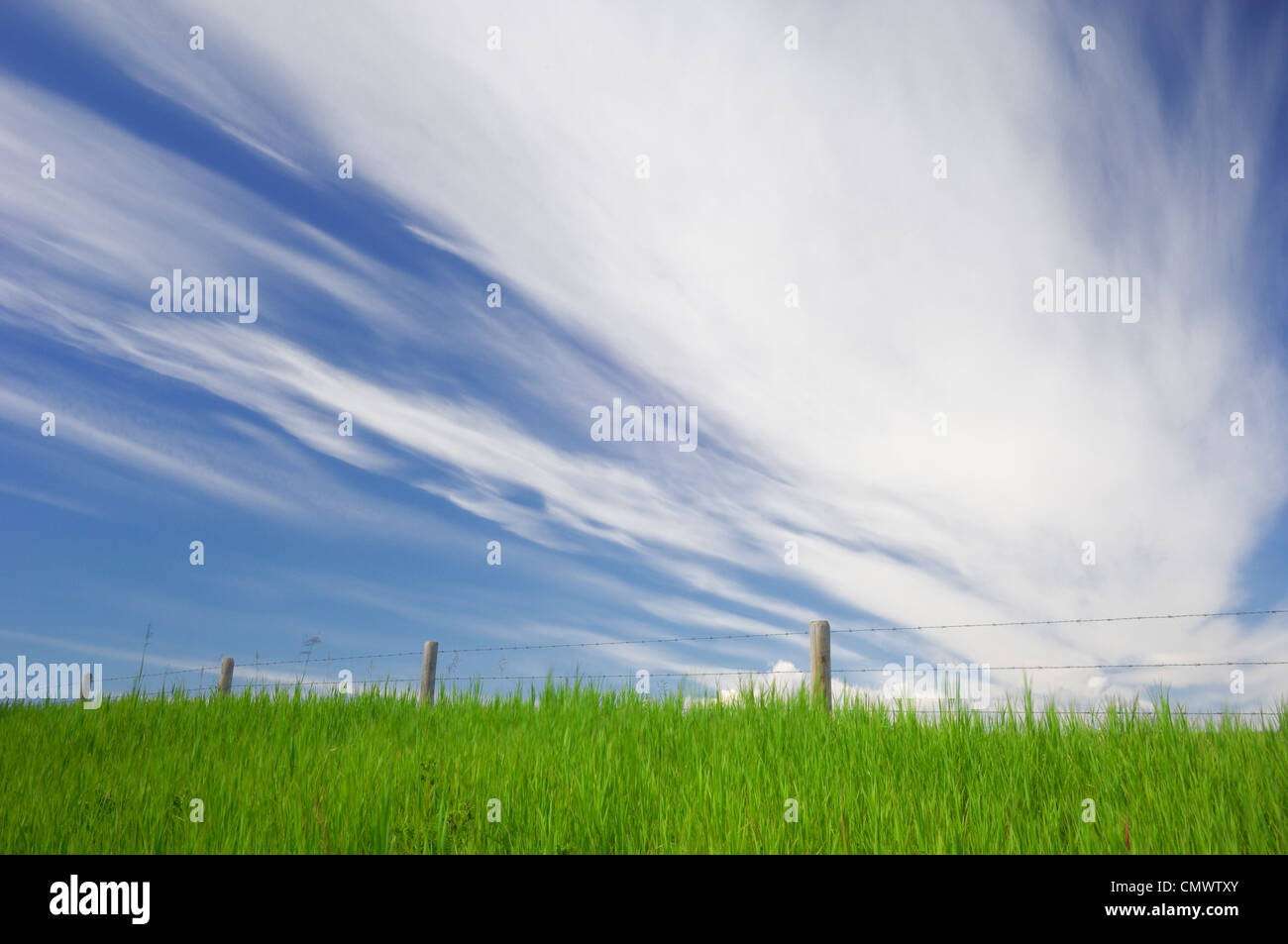 Fence in green grass with big sky in background, West of Calgary ...
