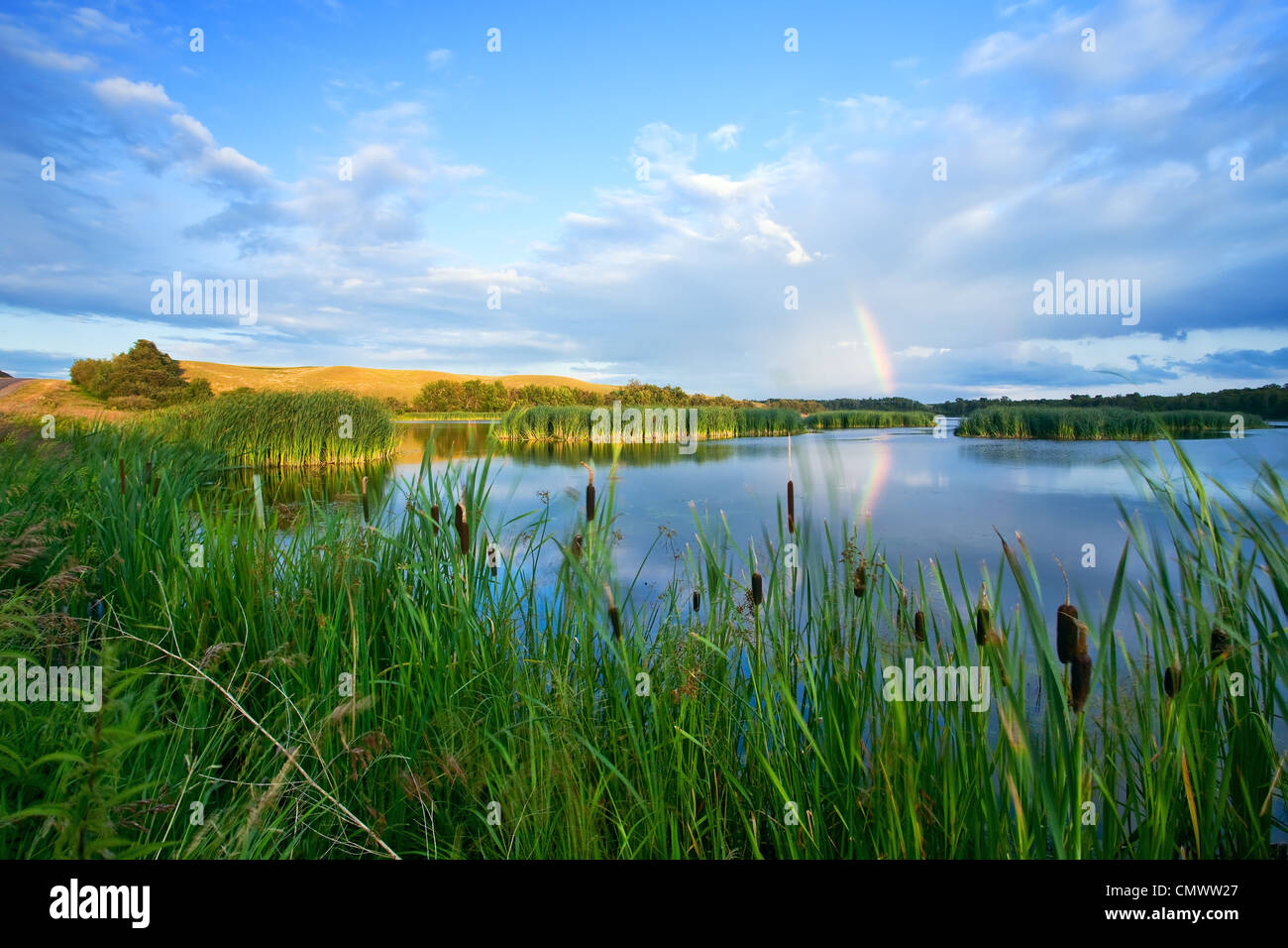 Rainbow over wetland marsh, Pembina Valley, Manitoba Stock Photo - Alamy
