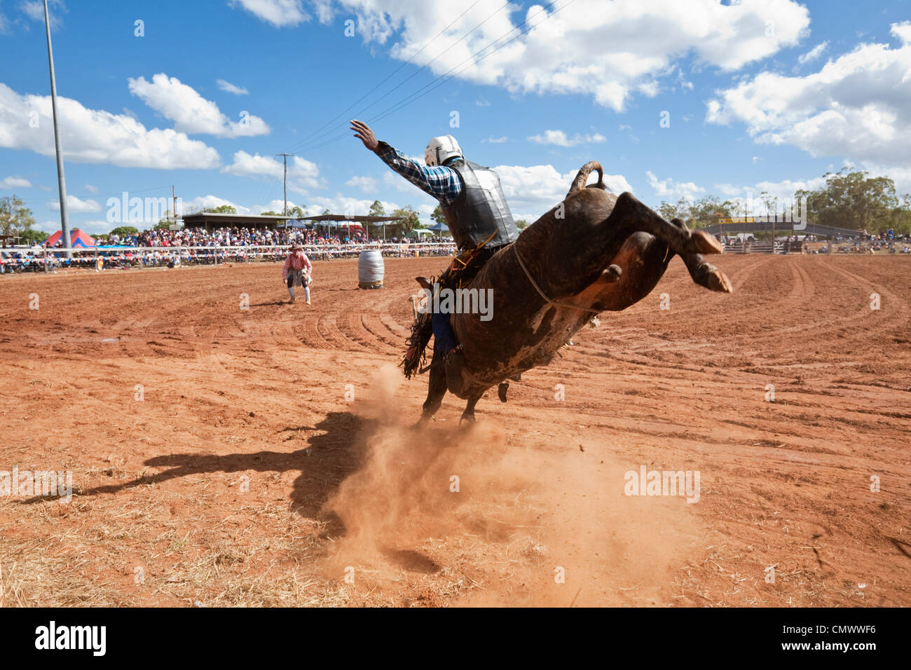 Bucking bull hi-res stock photography and images - Alamy