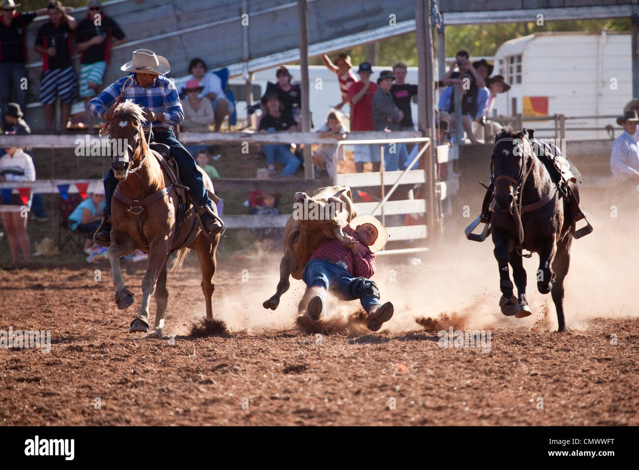 Steer wrestling (also known as bulldogging) competition at Mt Garnet ...