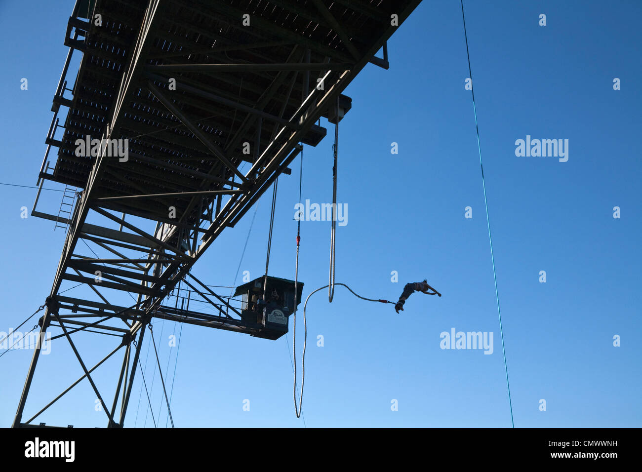 Woman bungy jumping from bungy tower. Smithfield, Cairns, Queensland ...