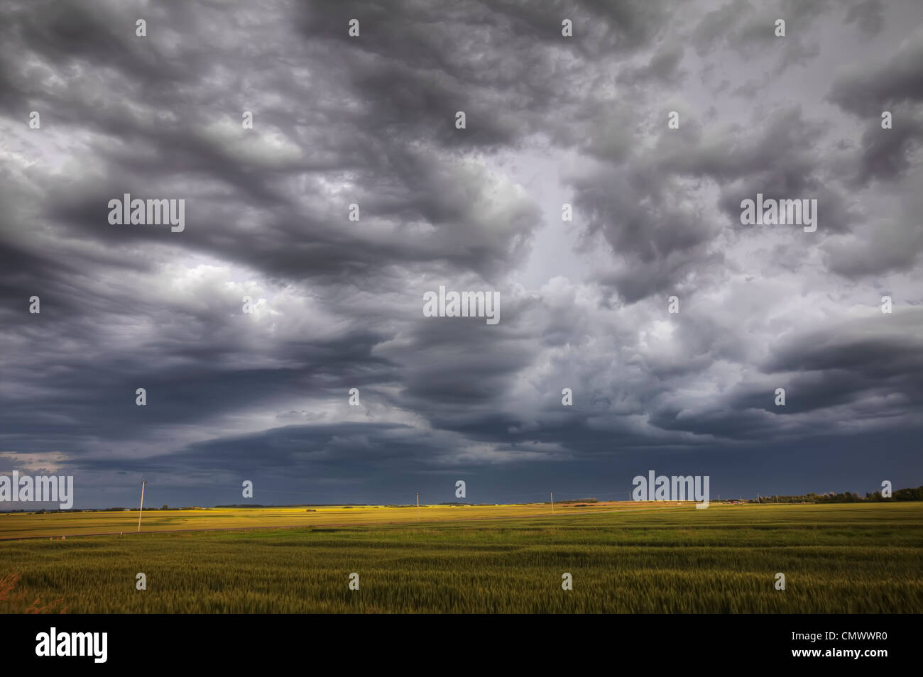 Rolling storm clouds over prairie, Alberta Stock Photo - Alamy