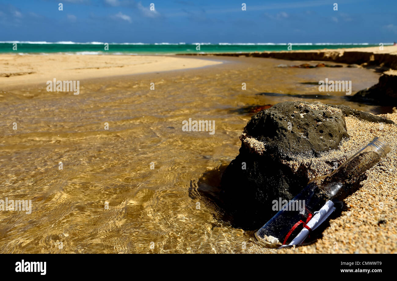 Shells found on the shore hi-res stock photography and images - Alamy