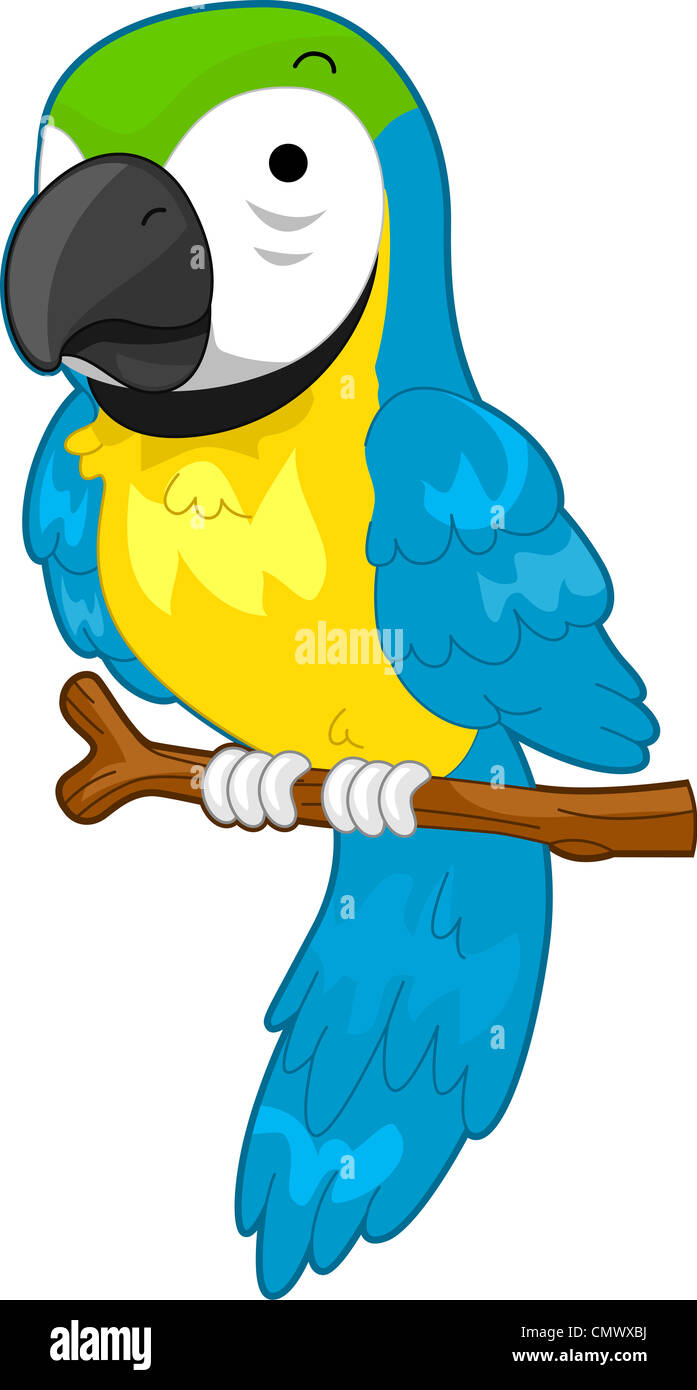 Cartoon parrot on perch hi-res stock photography and images - Alamy
