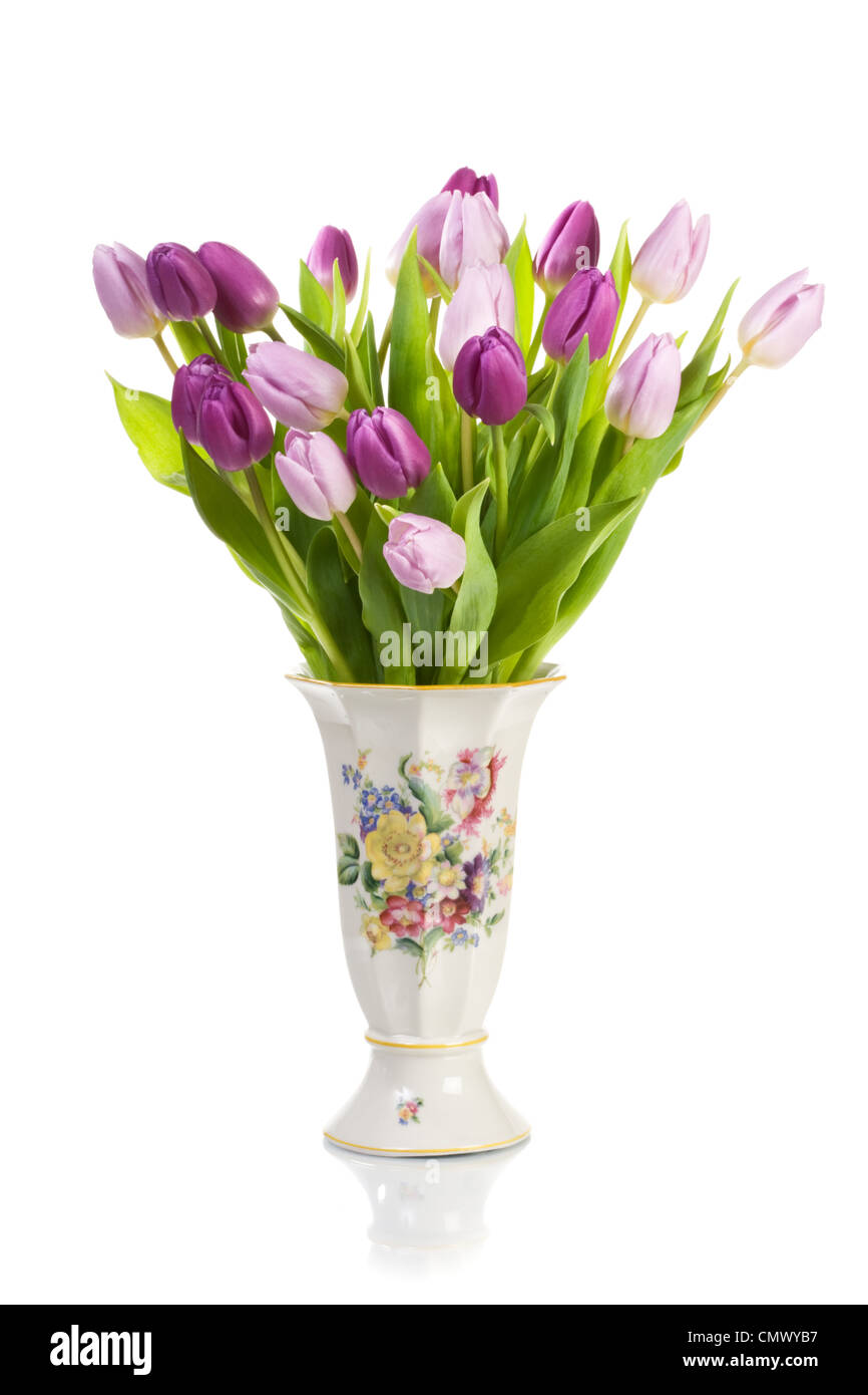 Purple tulip painting Cut Out Stock Images & Pictures - Alamy