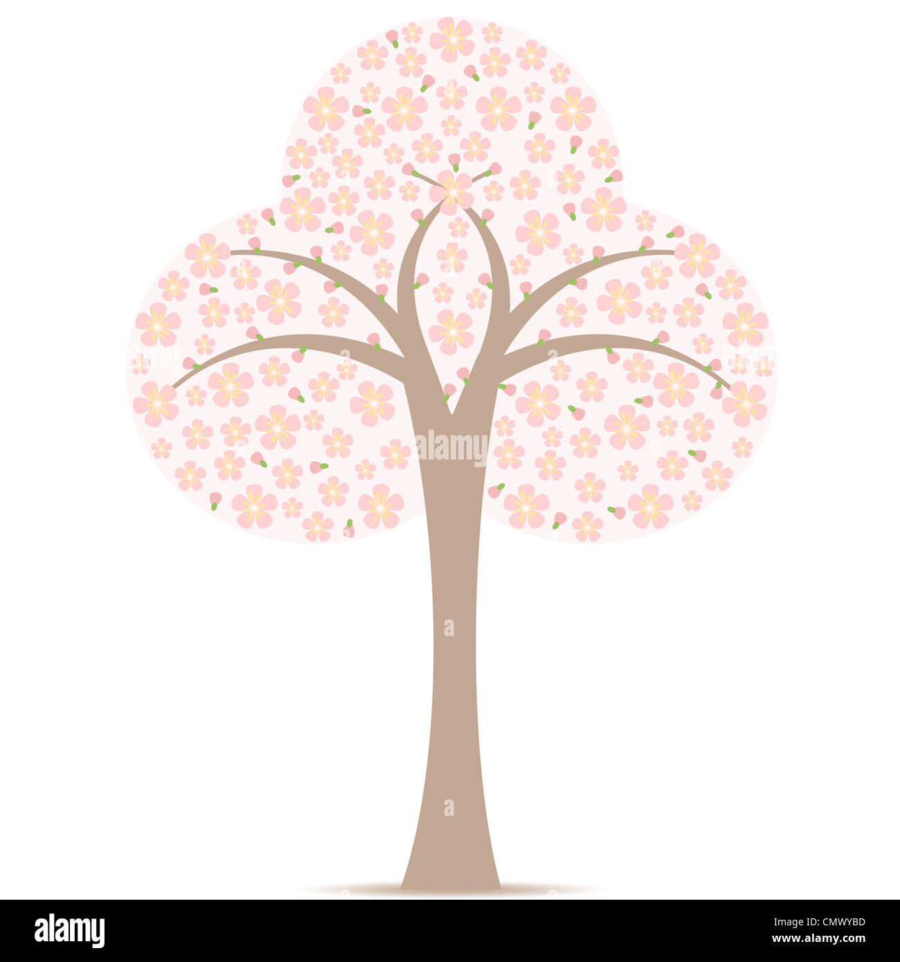 Spring Blossom Tree isolated on white background Stock Photo - Alamy