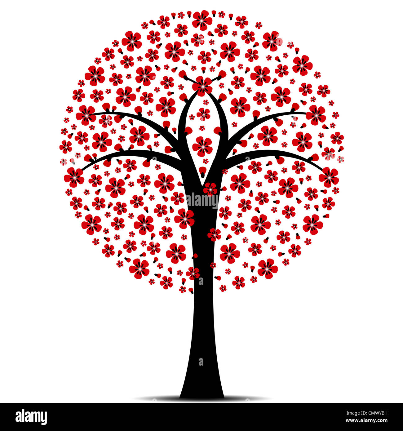 Beautiful blossom tree isolated on white Stock Photo - Alamy