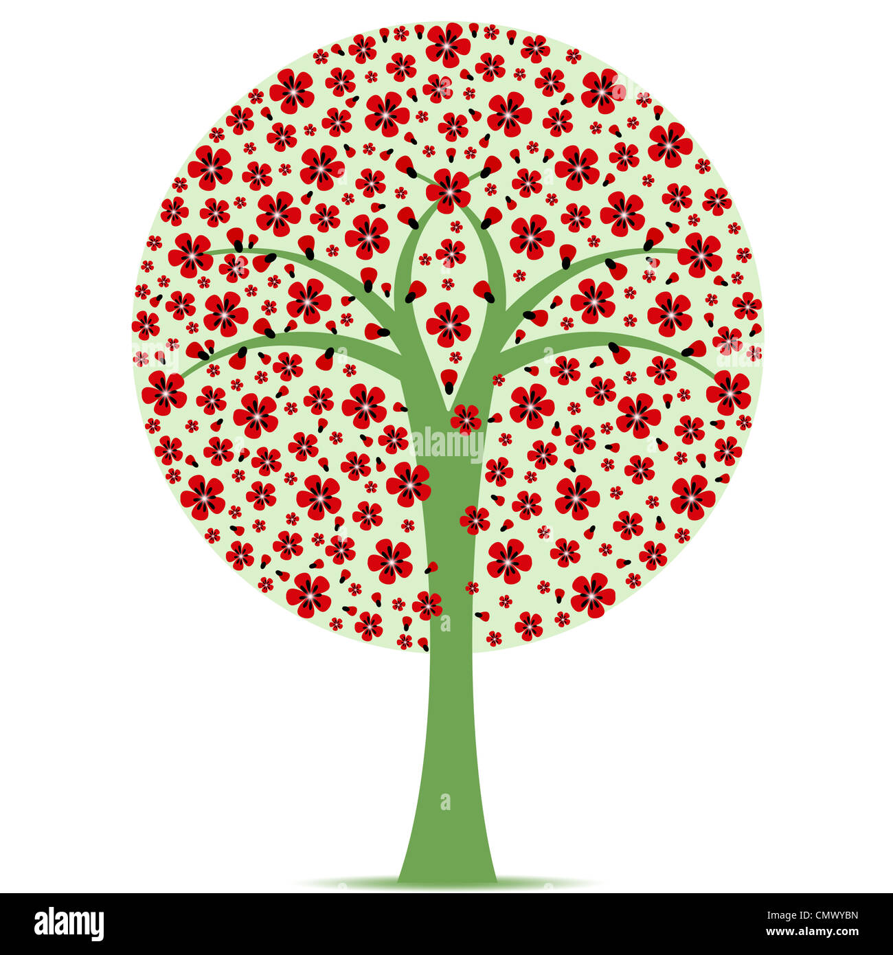 Beautiful blossom tree isolated on white Stock Photo - Alamy