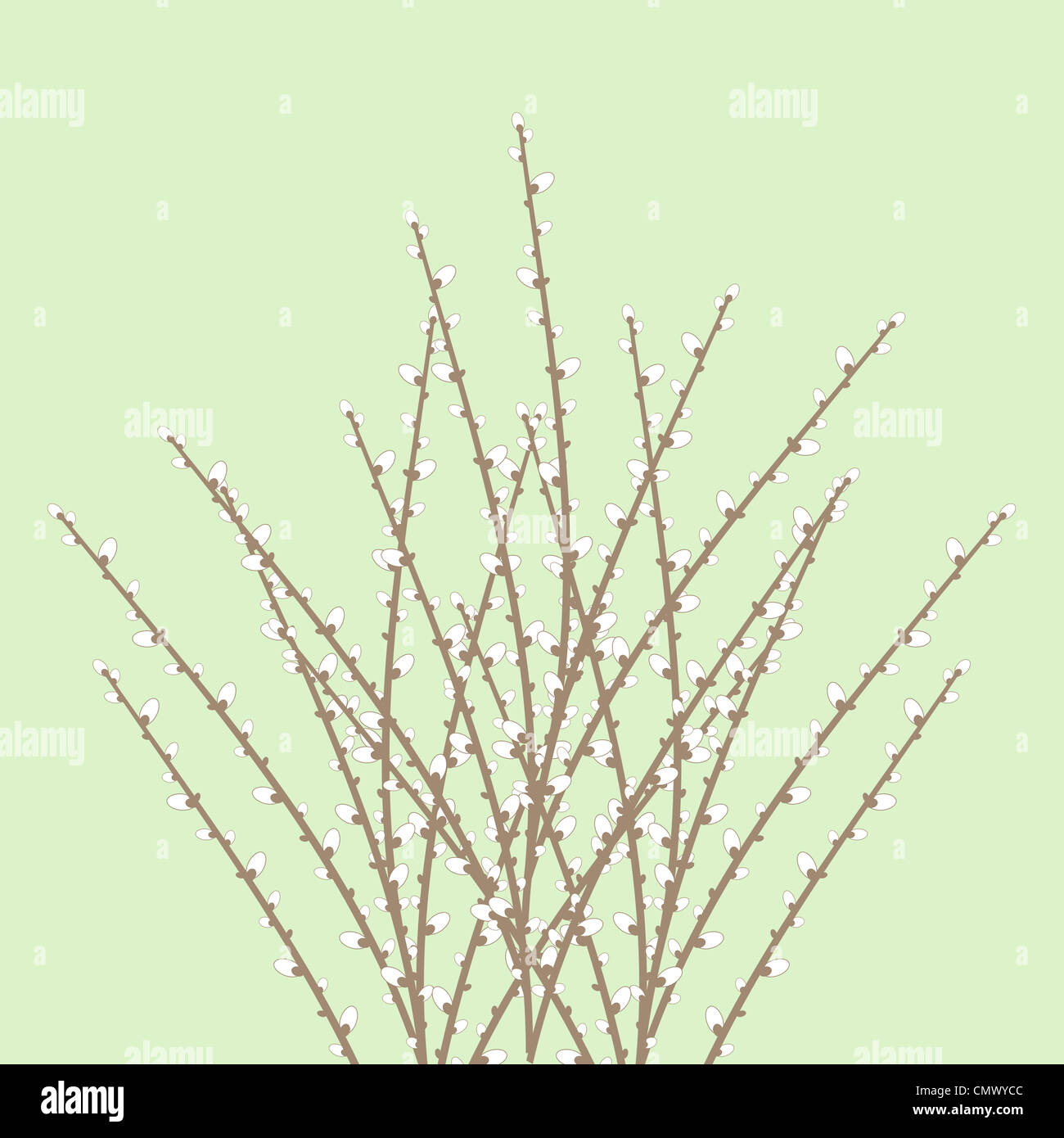 Beautiful spring willow twig closeup Stock Photo - Alamy