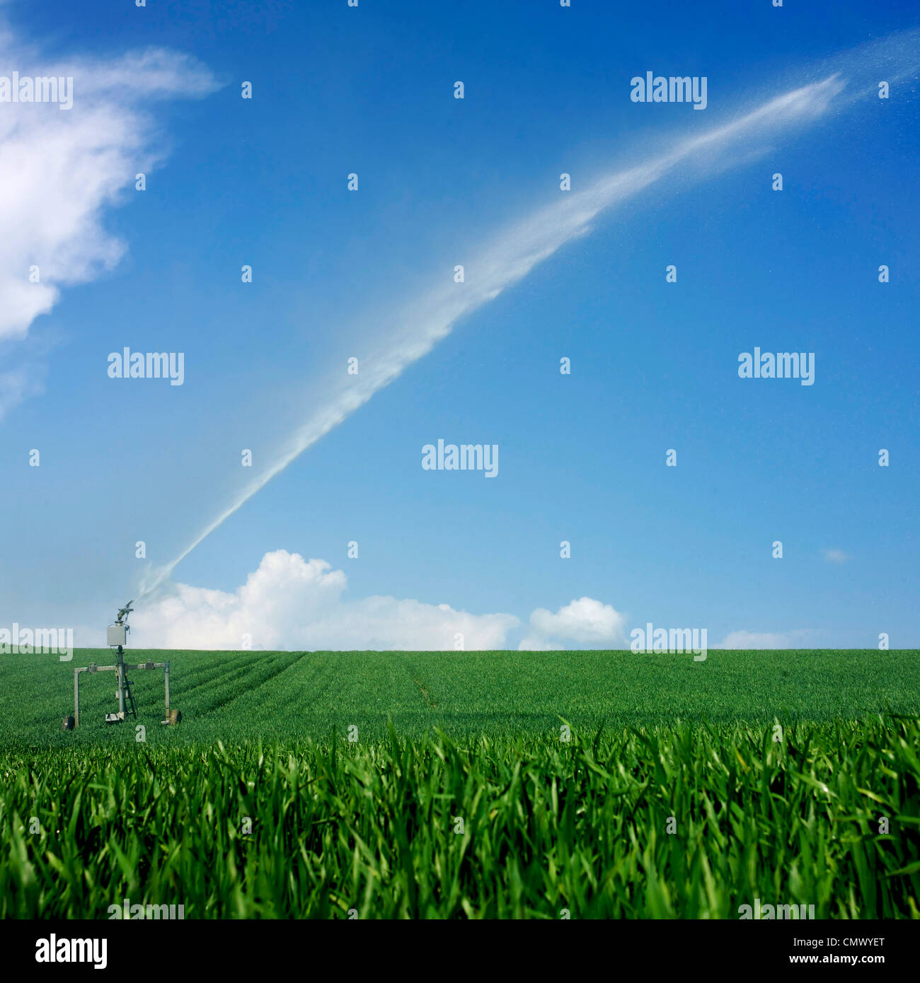 Maize irrigation hi-res stock photography and images - Alamy