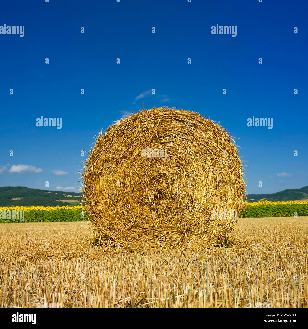 Bale france hi-res stock photography and images - Alamy