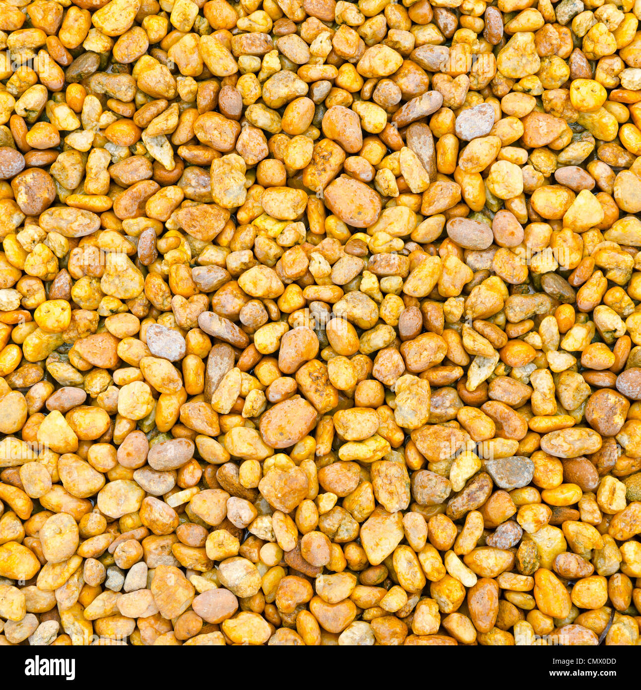 Wet orange pebbles ready for foot massage Stock Photo - Alamy