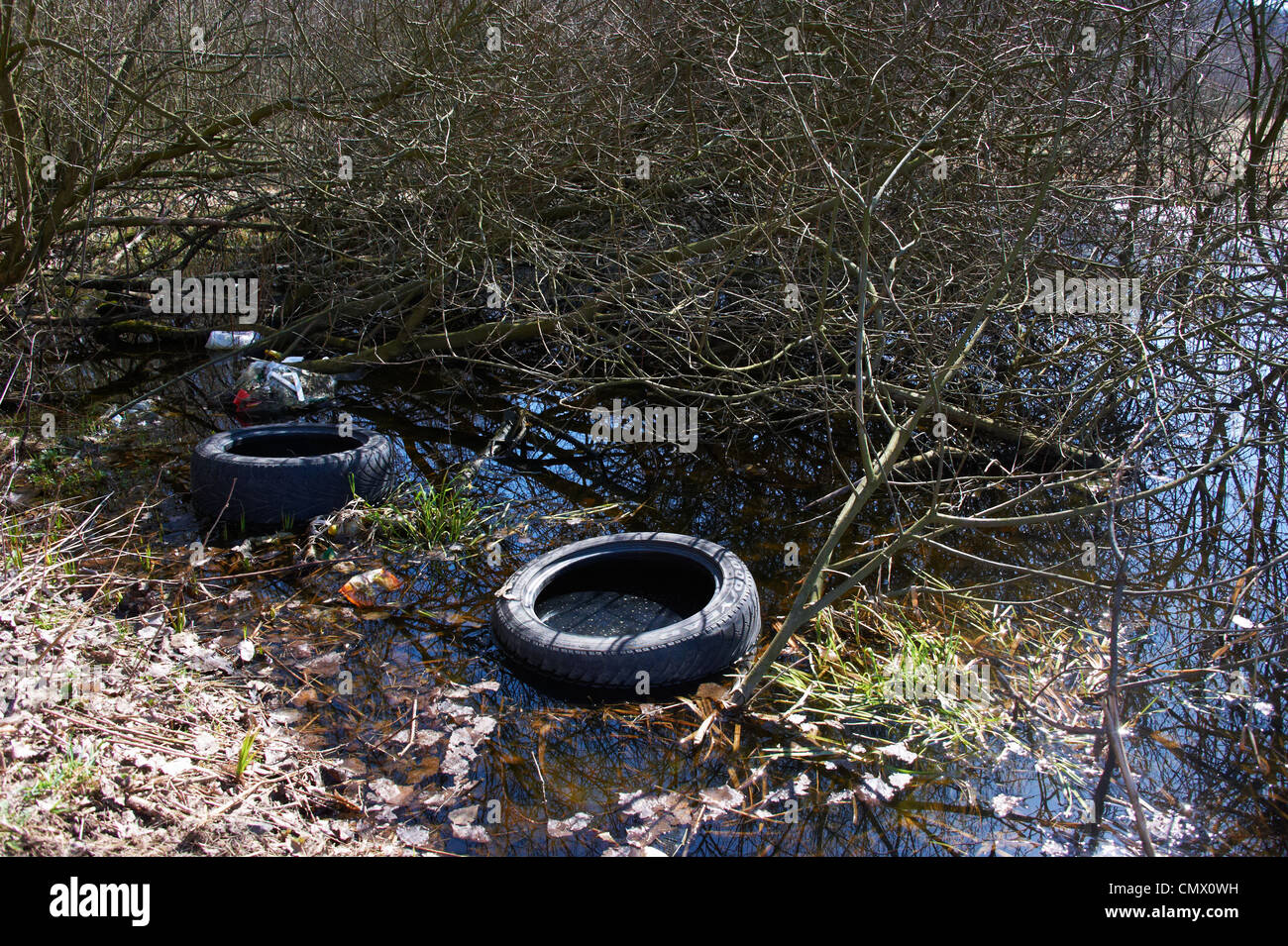 Discarded Garbage in Nature Stock Photo - Alamy