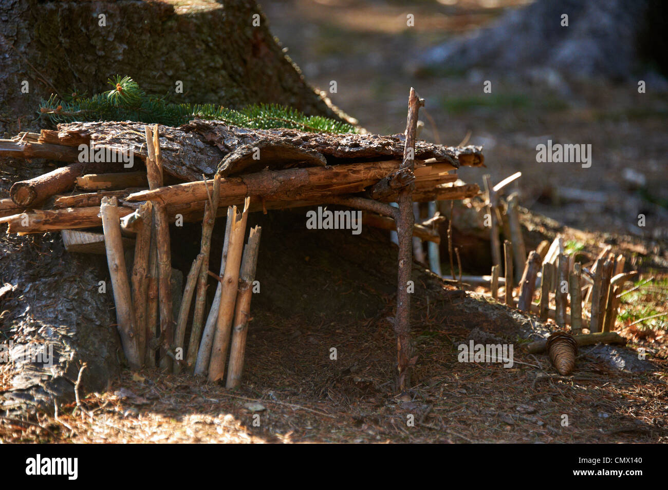 Wooden house for dwarf in forest - build by children - children playing ...